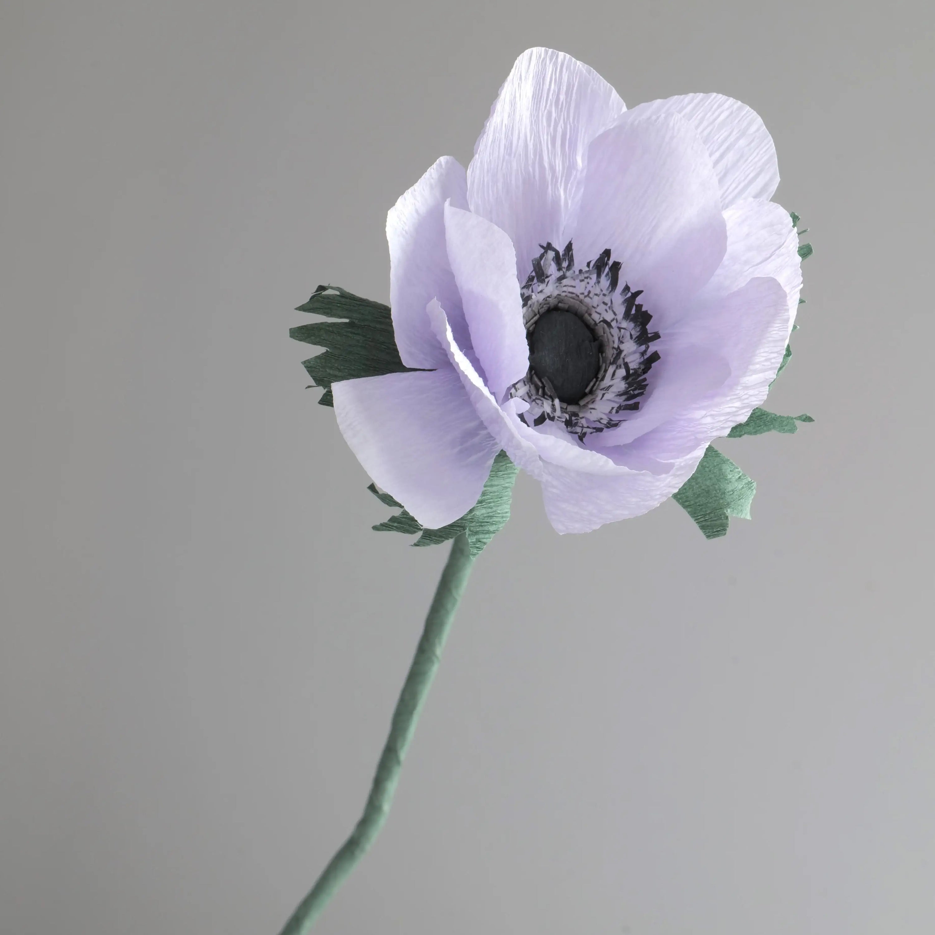 Anemone Single Stem | Handcrafted Paper Flower – unwilted