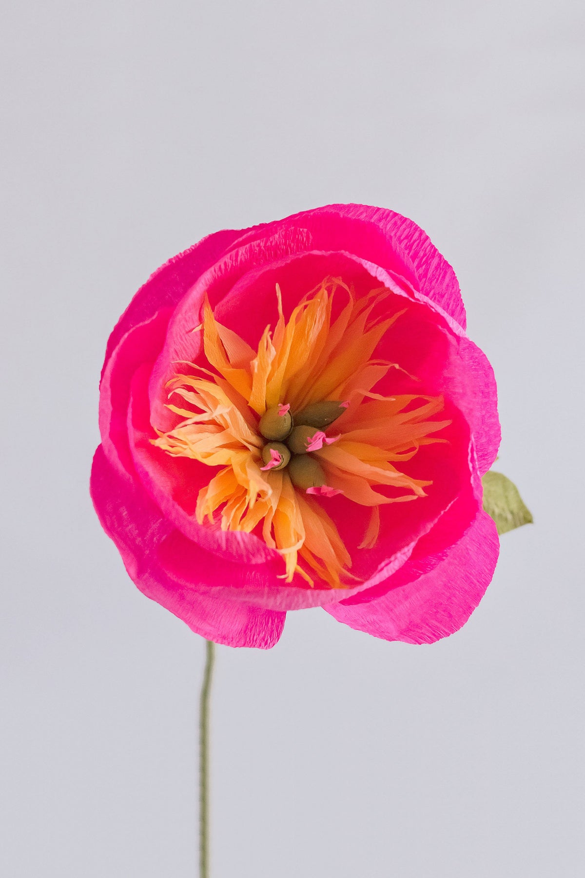 Shop Paper Flowers | Handcrafted Bouquets & Stems | Unwilted – unwilted