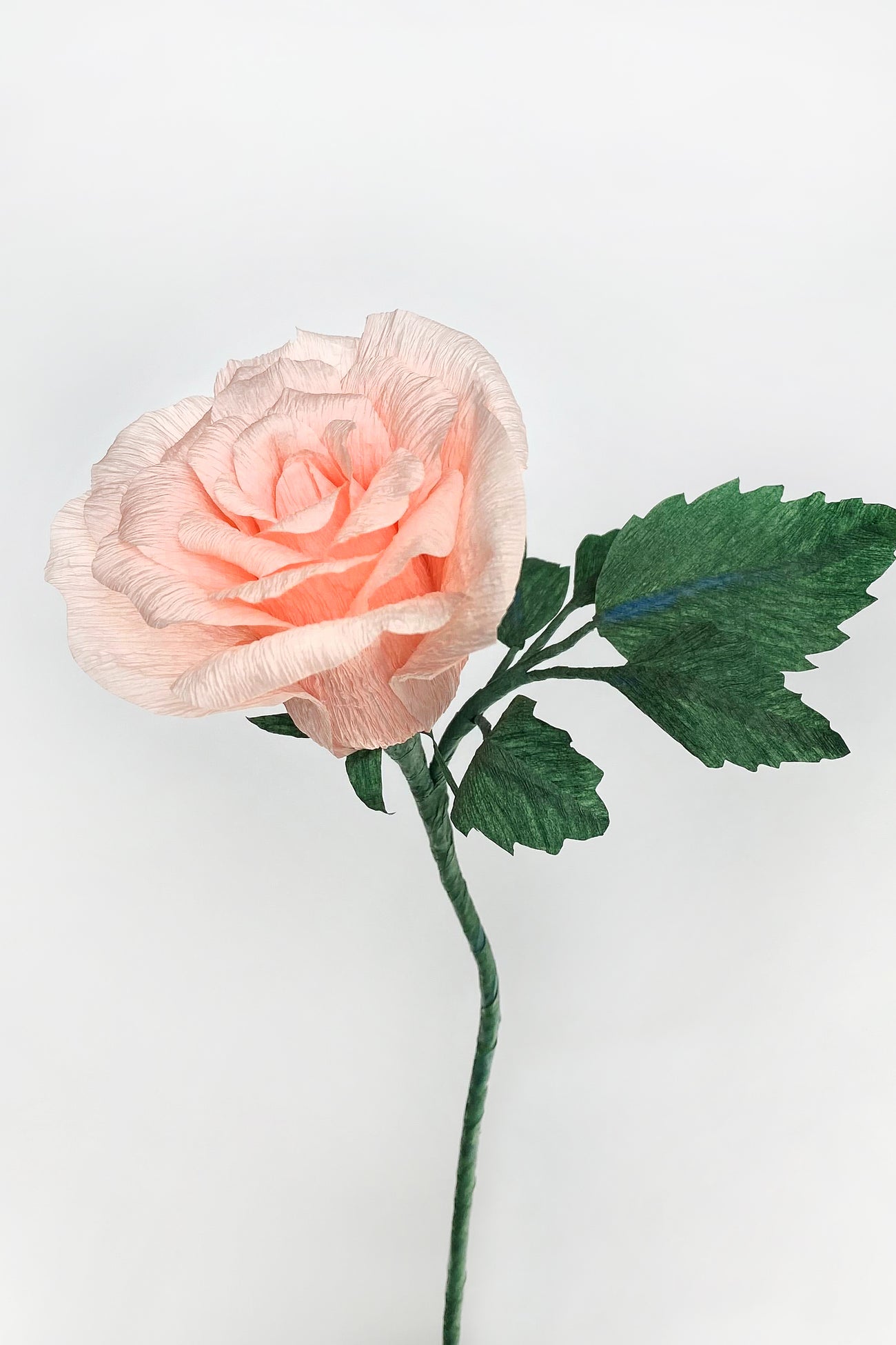 Shop Paper Flowers | Handcrafted Bouquets & Stems | Unwilted – unwilted