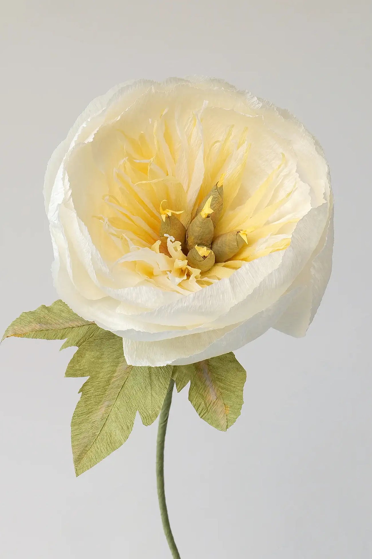 Shop Paper Flowers | Handcrafted Bouquets & Stems | Unwilted – unwilted