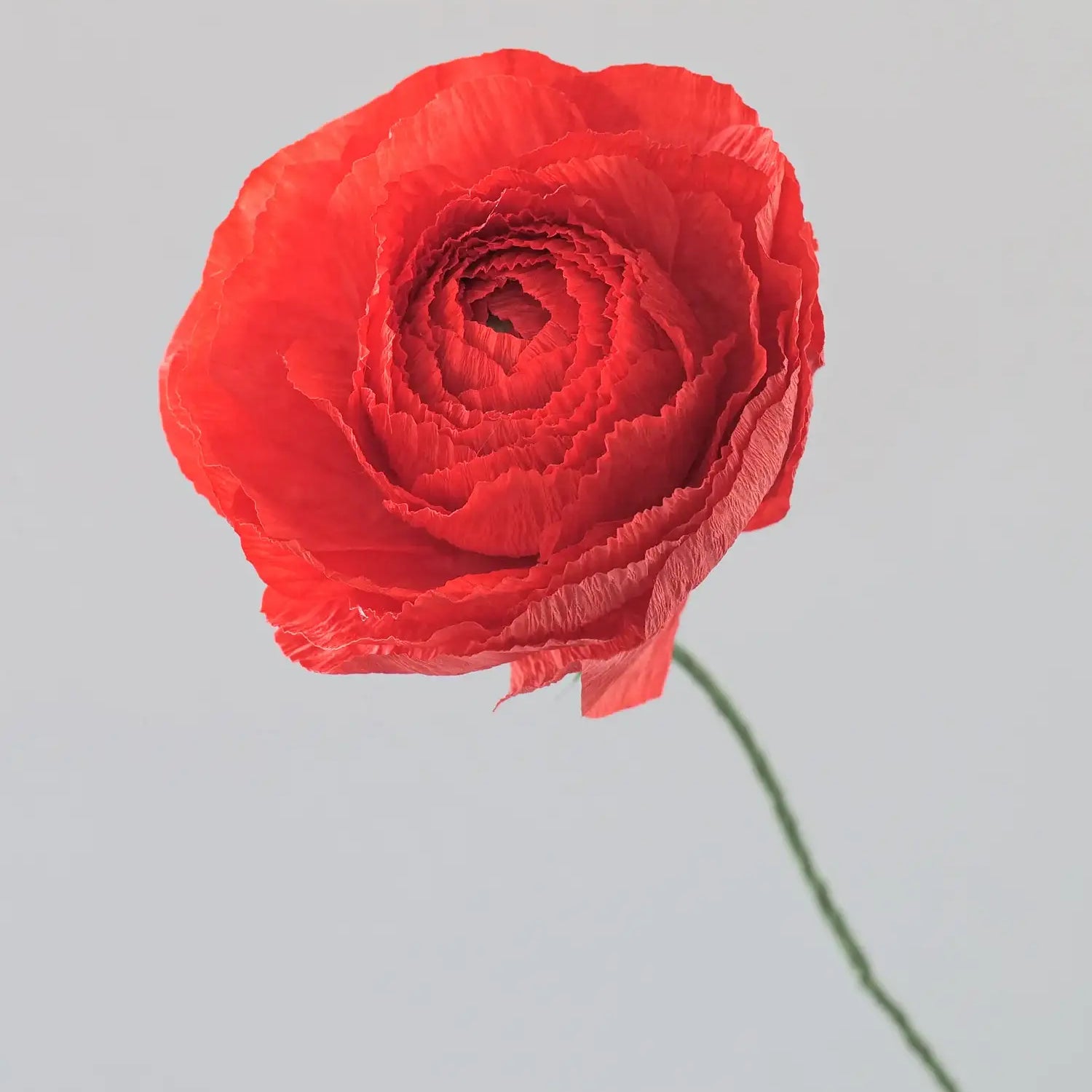 Ranunculus Paper Flower | Handcrafted Single Stem – unwilted