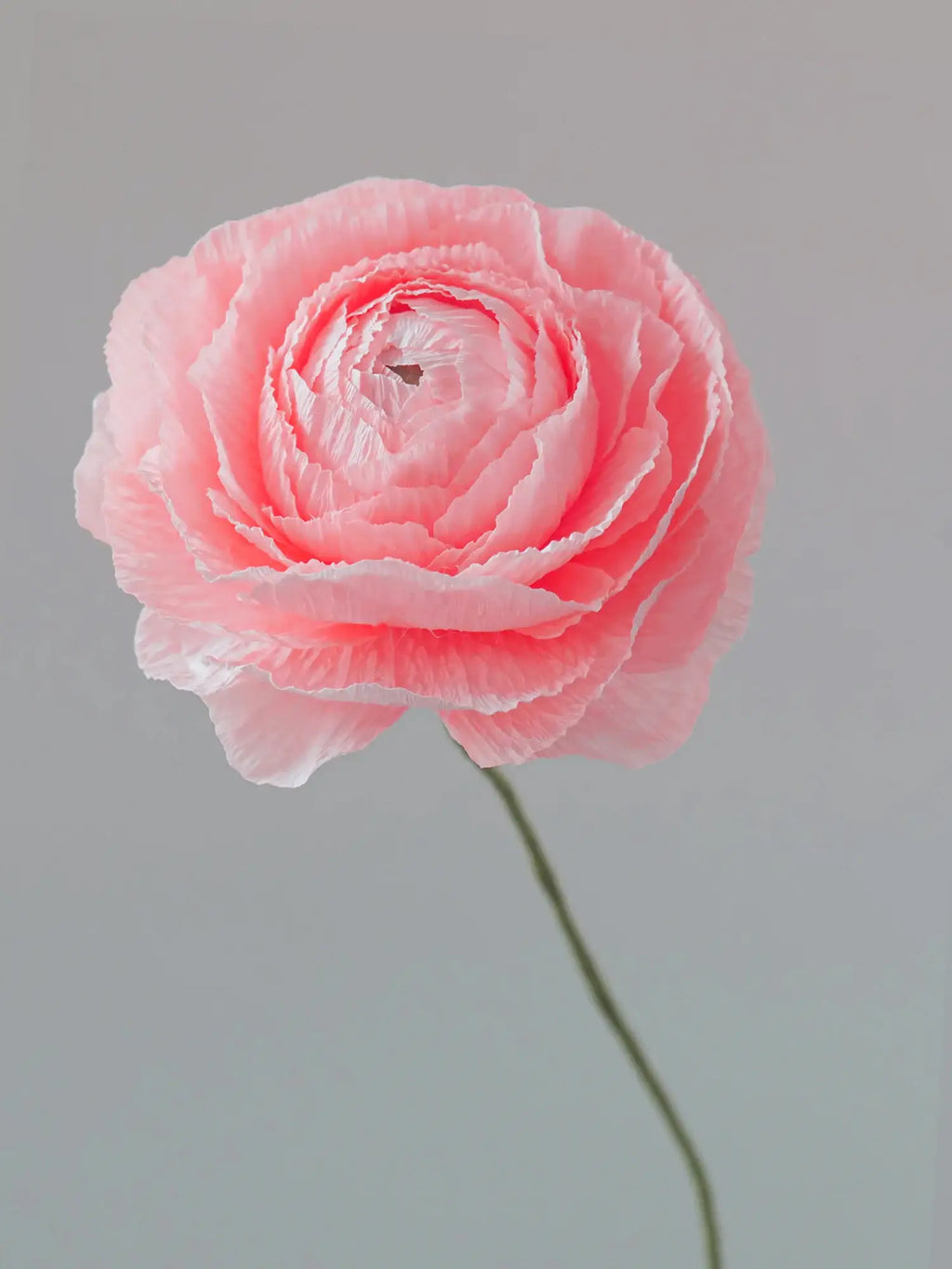 Ranunculus Single Bloom - Handcrafted Paper Flower Arrangement – unwilted