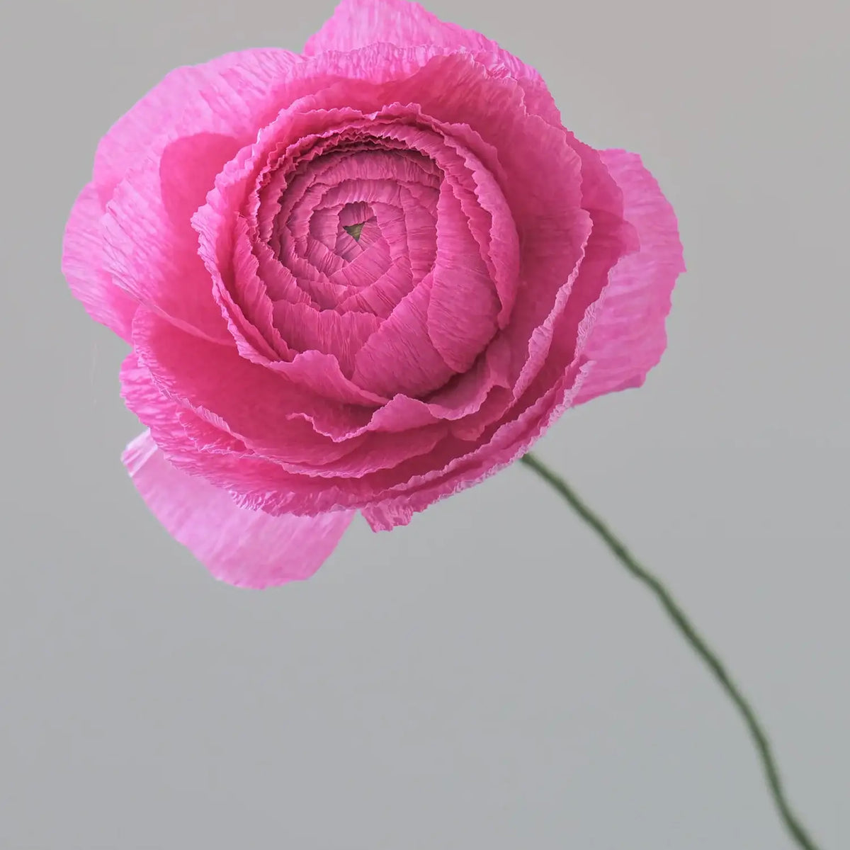 Ranunculus Paper Flower | Handcrafted Single Stem – unwilted