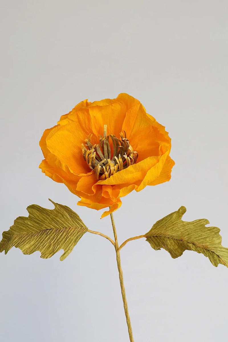 Shop Paper Flowers | Best Sellers & Single Stems – unwilted